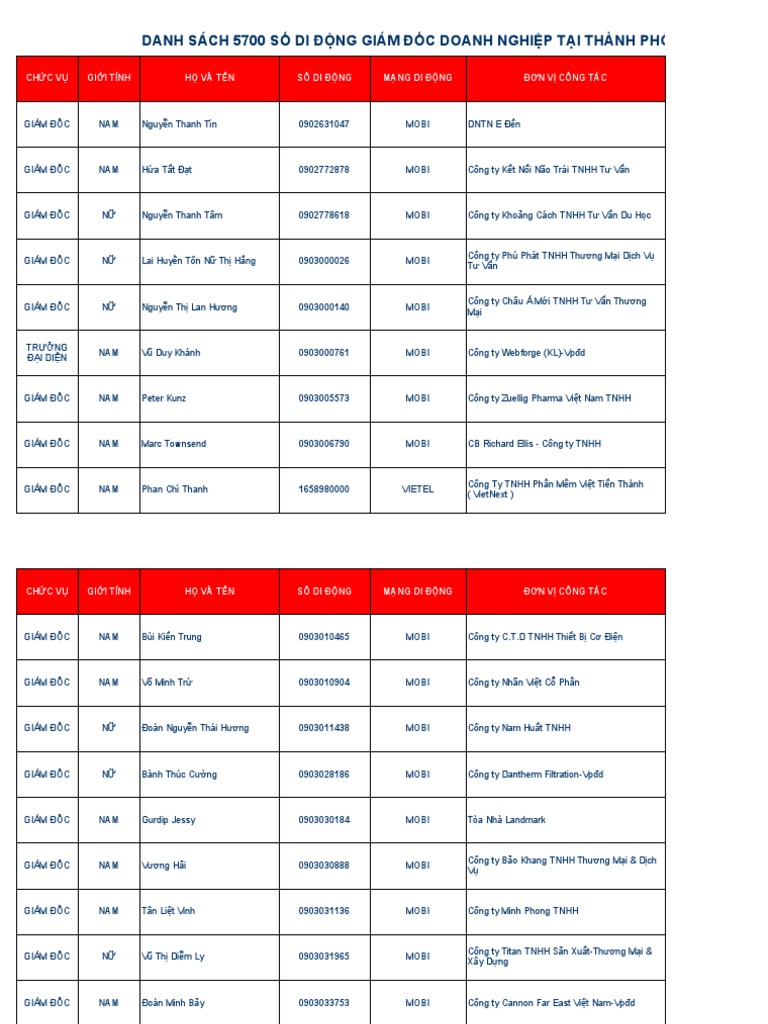 5.700 Chi Tiet Giam Doc Tai TPHCM | PDF