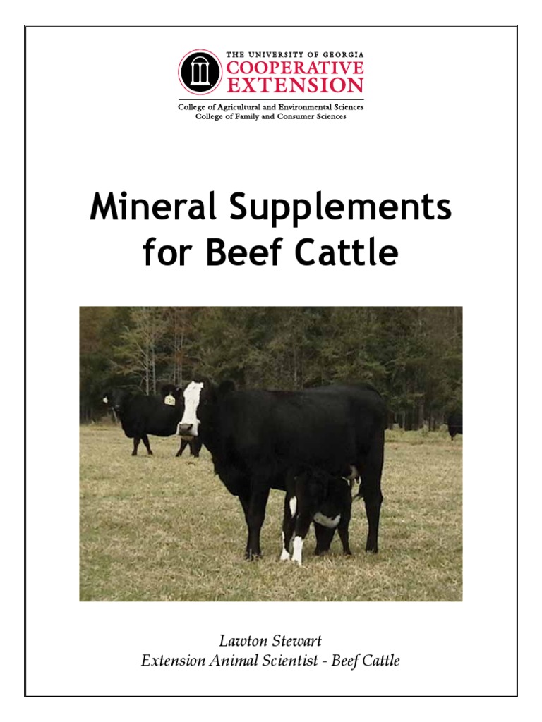Mineral Supplements For Cattle | PDF | Cattle | Dietary Supplements