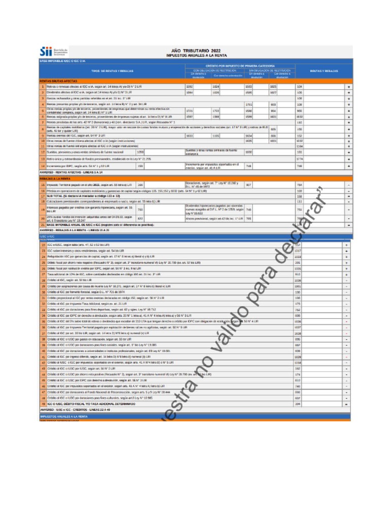 Formulario 22 Ejemplo | PDF