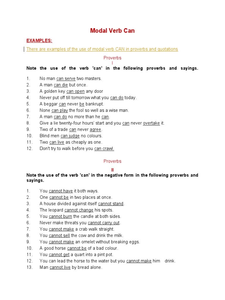 Modal Verb Can | PDF