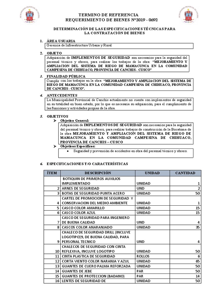 TDR IMPLEMENTOS DE SEGURIDAD Ok | PDF