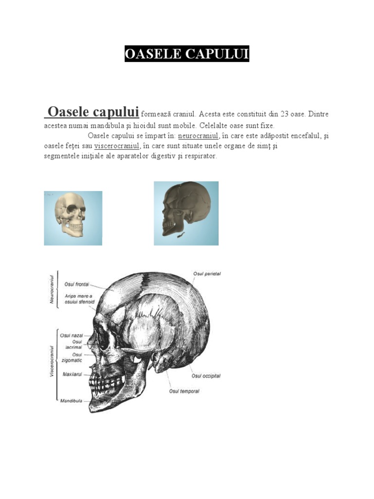 OASELE CAPului | PDF