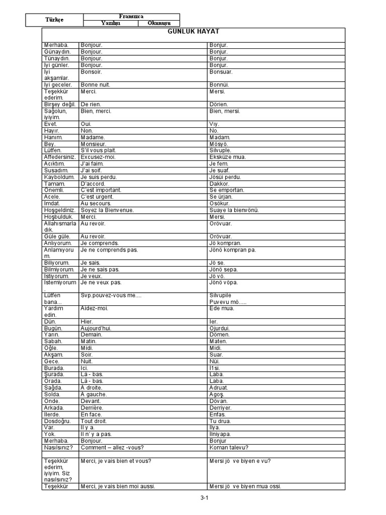Fransizca Gunluk Konuşma | PDF
