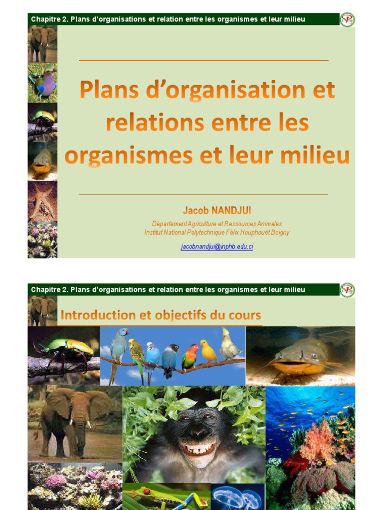 Organisation des organismes et milieux | PDF | Œil | Estomac