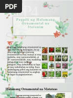 Mga Halamang Namumulaklak | PDF