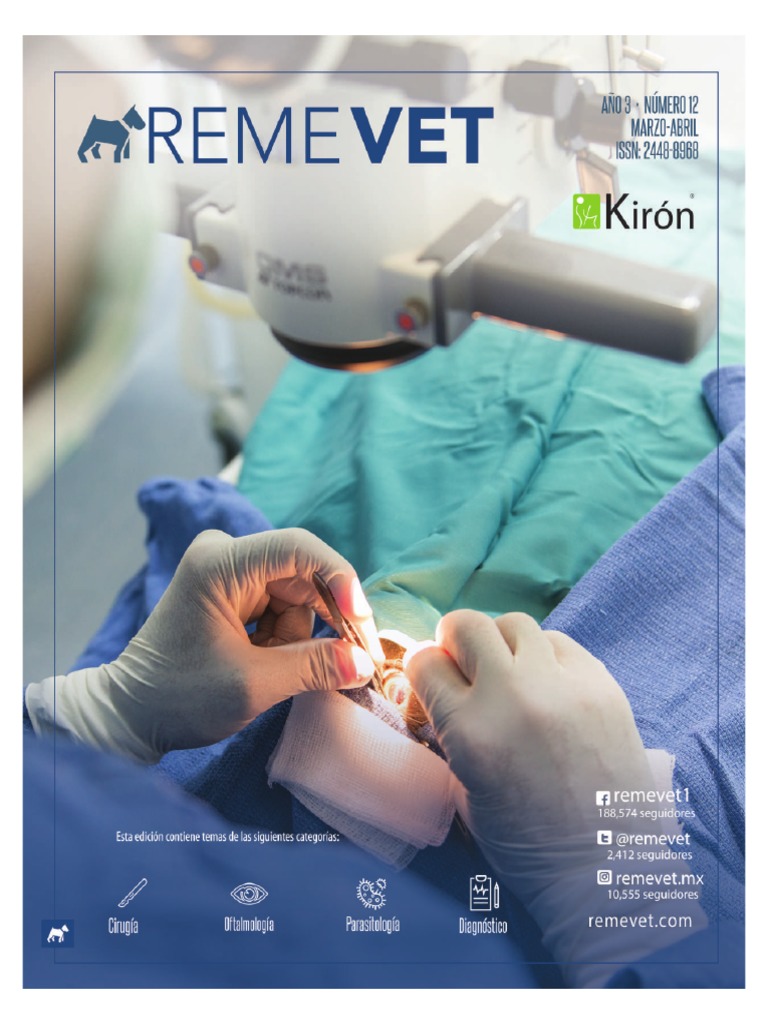 Cisticentesis Procedimiento | PDF | Vejiga urinaria | Abdomen