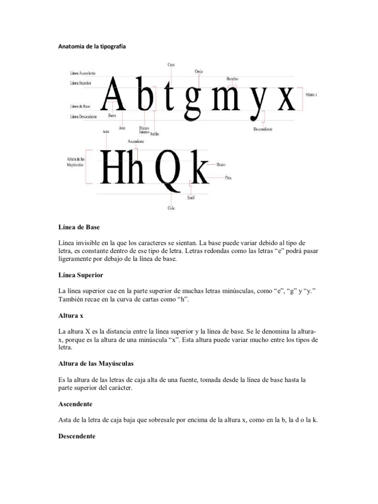 Anatomía de la Tipografía y Letras | PDF | Tipografía | Alfabeto latino