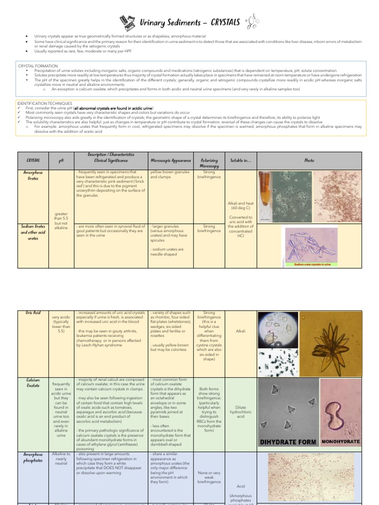 Clinical Microscopy Table | PDF | Red Blood Cell | White Blood Cell