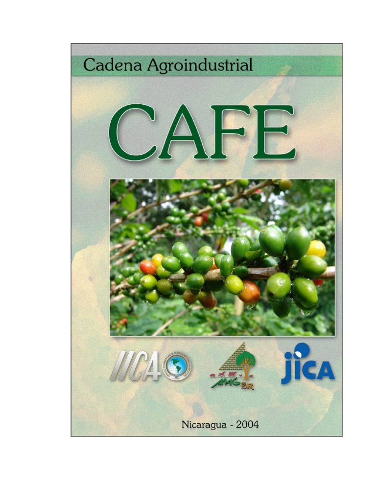 Cadena Cafe | PDF | Nicaragua | café