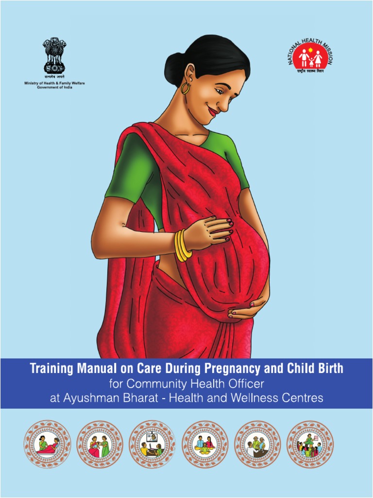 Care During Pregnancy and Childbirth Training Manual For CHO at AB-HWC ...