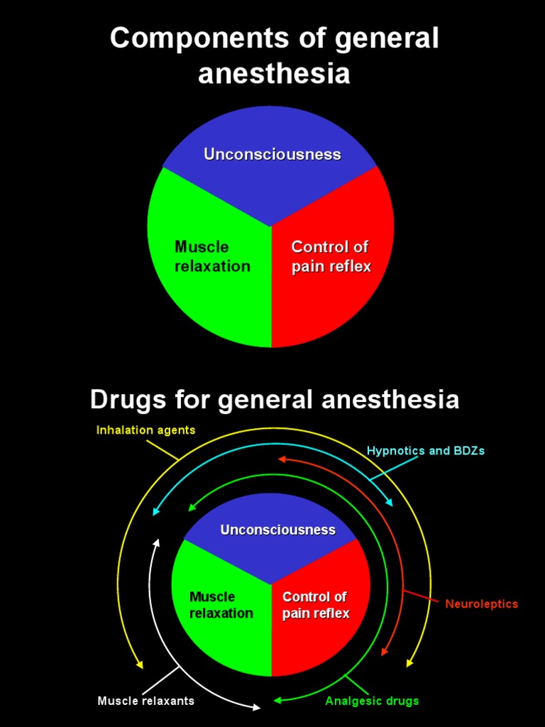 Components of General Anesthesia: Unconsciousness | PDF | Anesthesia ...