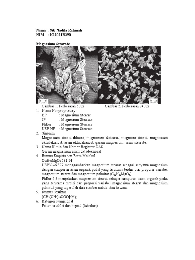 Fungsi dan Struktur Magnesium Stearat | PDF