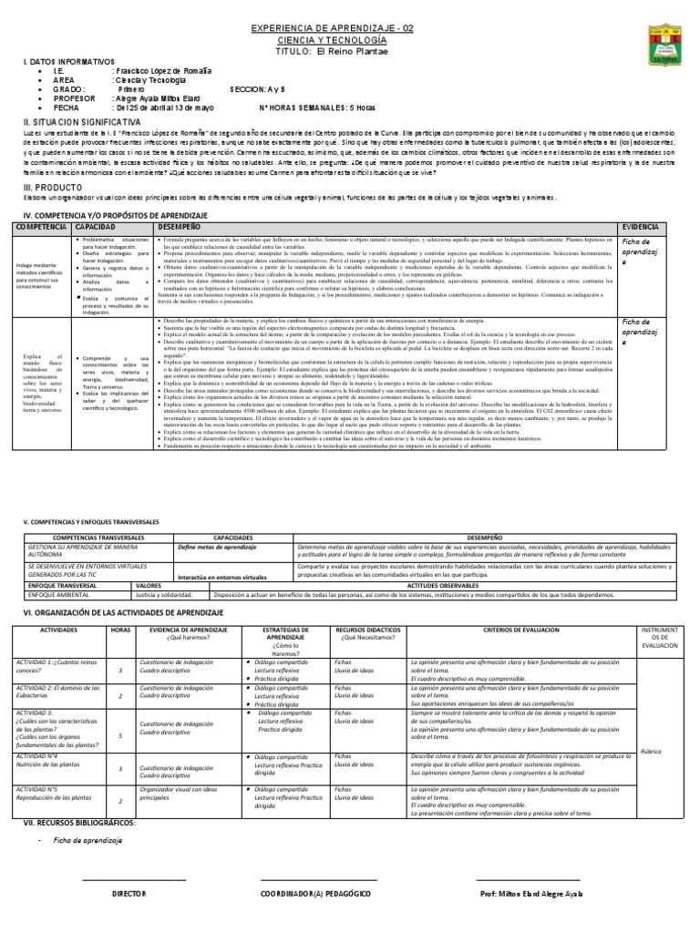 Experiencia De Aprendizaje 02 Primer Grado Pdf Medición