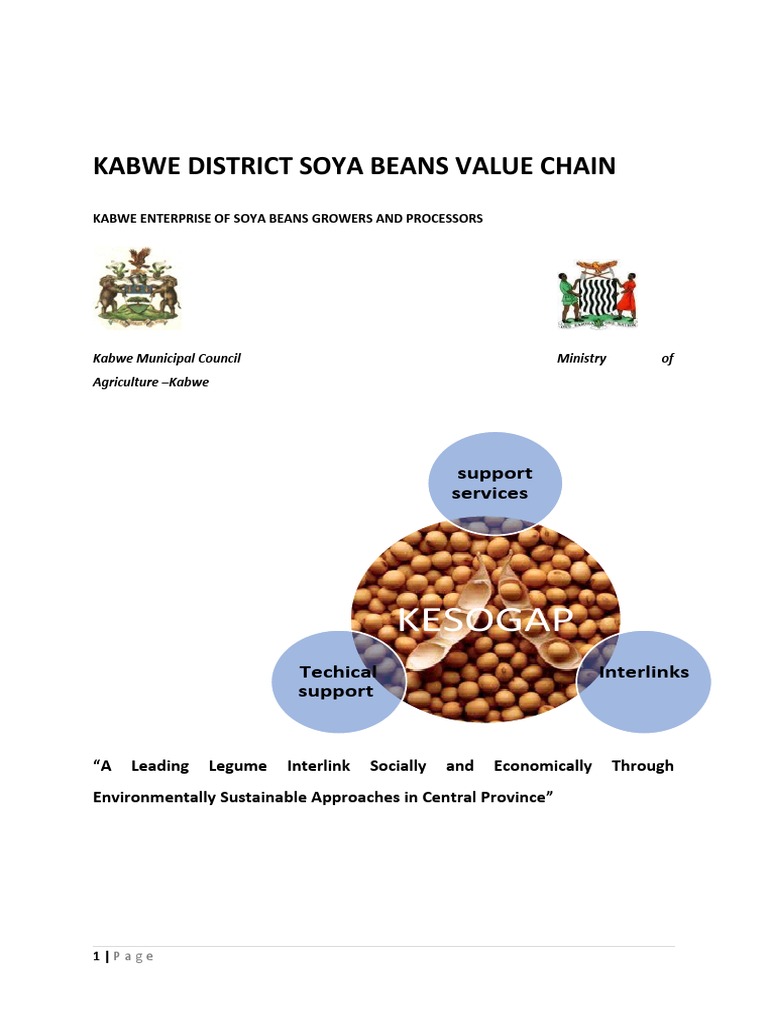 Kabwe Soya Beans Value Chain Plan | PDF | Soybean | Agriculture