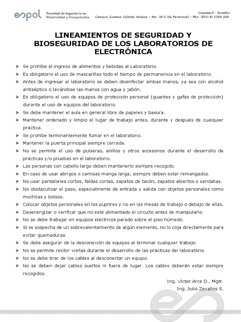Lineamientos de Seguridad | PDF