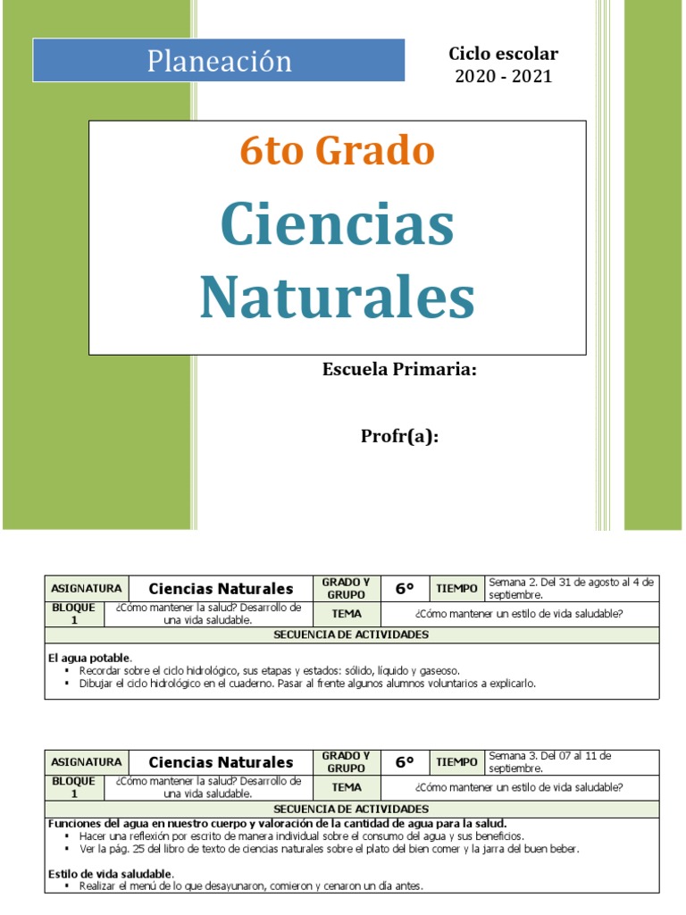 Plan 6to Grado Ciencias Naturales LISTO | PDF | Agua | VIH / SIDA