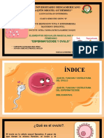 Dibujo del Óvulo y sus Partes | PDF