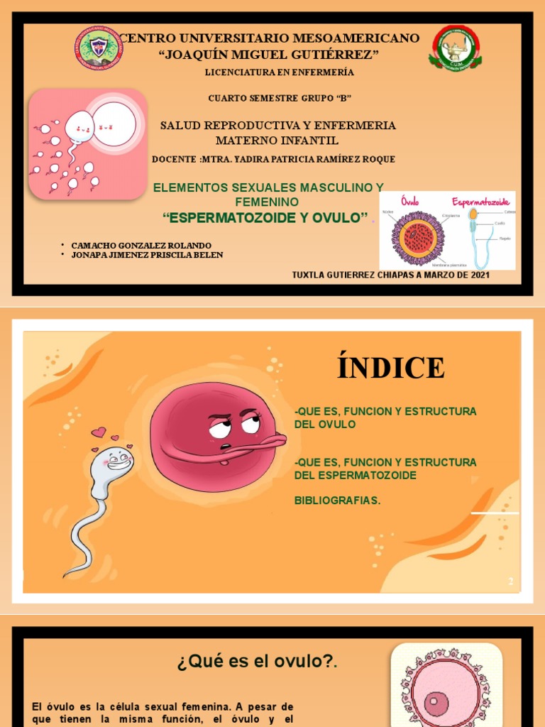Ovulo Y Espermatozoide Pdf Sexo Biología