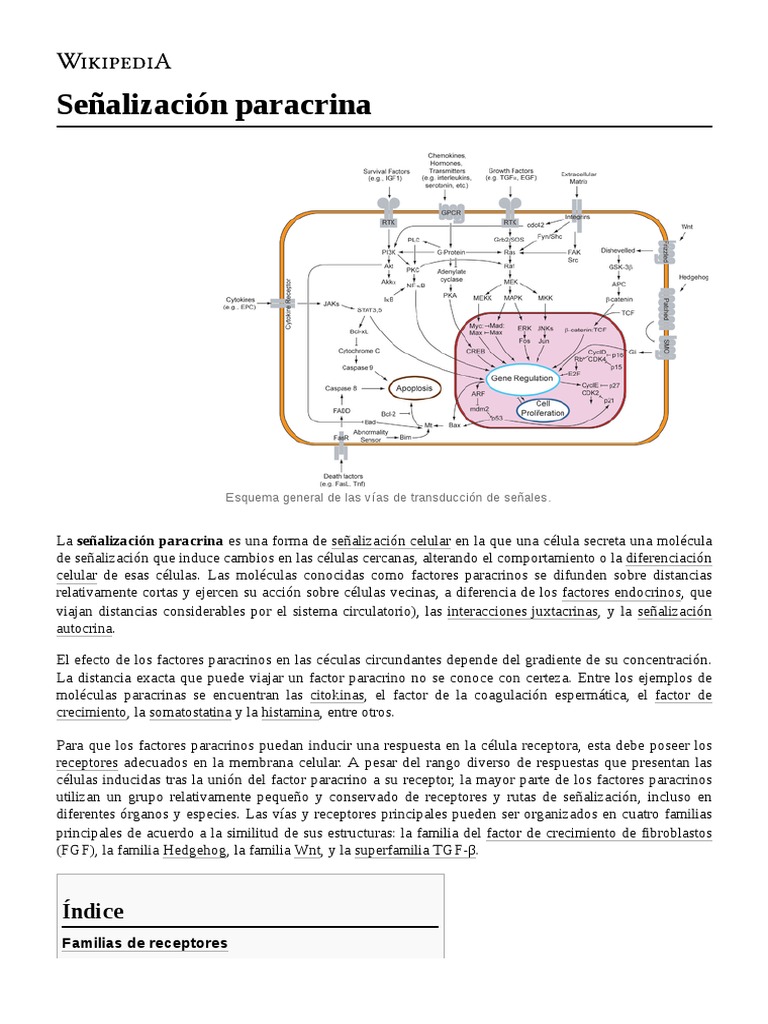 Señalización Paracrina | PDF | Receptor (Bioquímica) | Transducción de ...