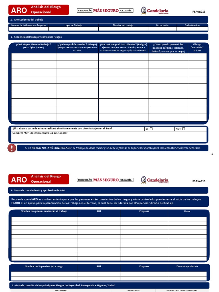 Formato ARO | PDF | Seguridad y salud ocupacional | Naturaleza