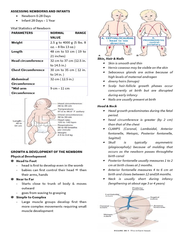 Assessing the Complete Physical Development of Newborns and Infants ...