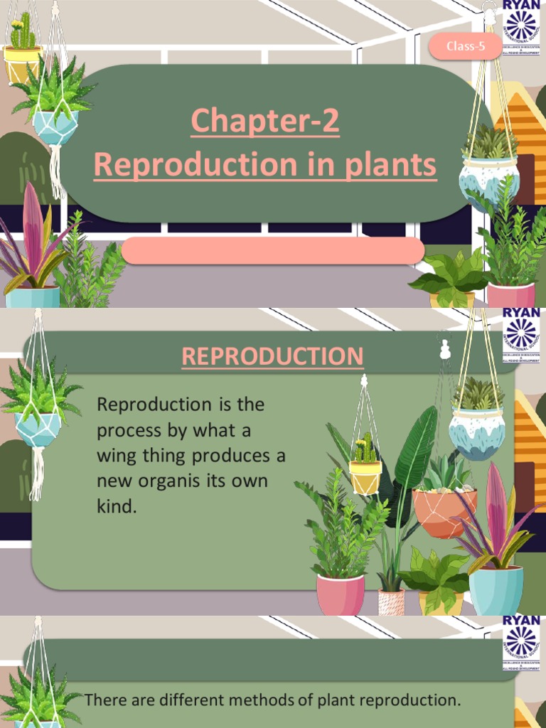 Chapter-2 Reproduction in Plants: Class-5 | PDF | Seed | Plants
