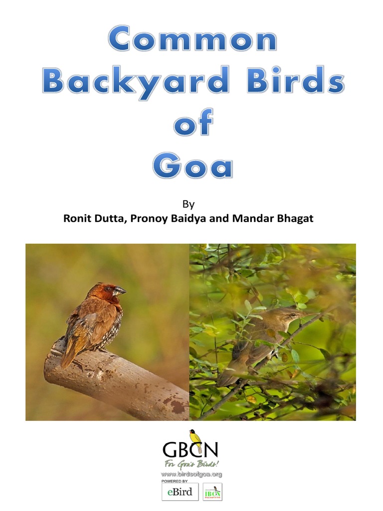 Common-Backyard-Birds-of-Goa | PDF