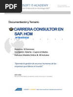 Manual SAP HCM: Guía de Usuario y Soporte | PDF | Bancos