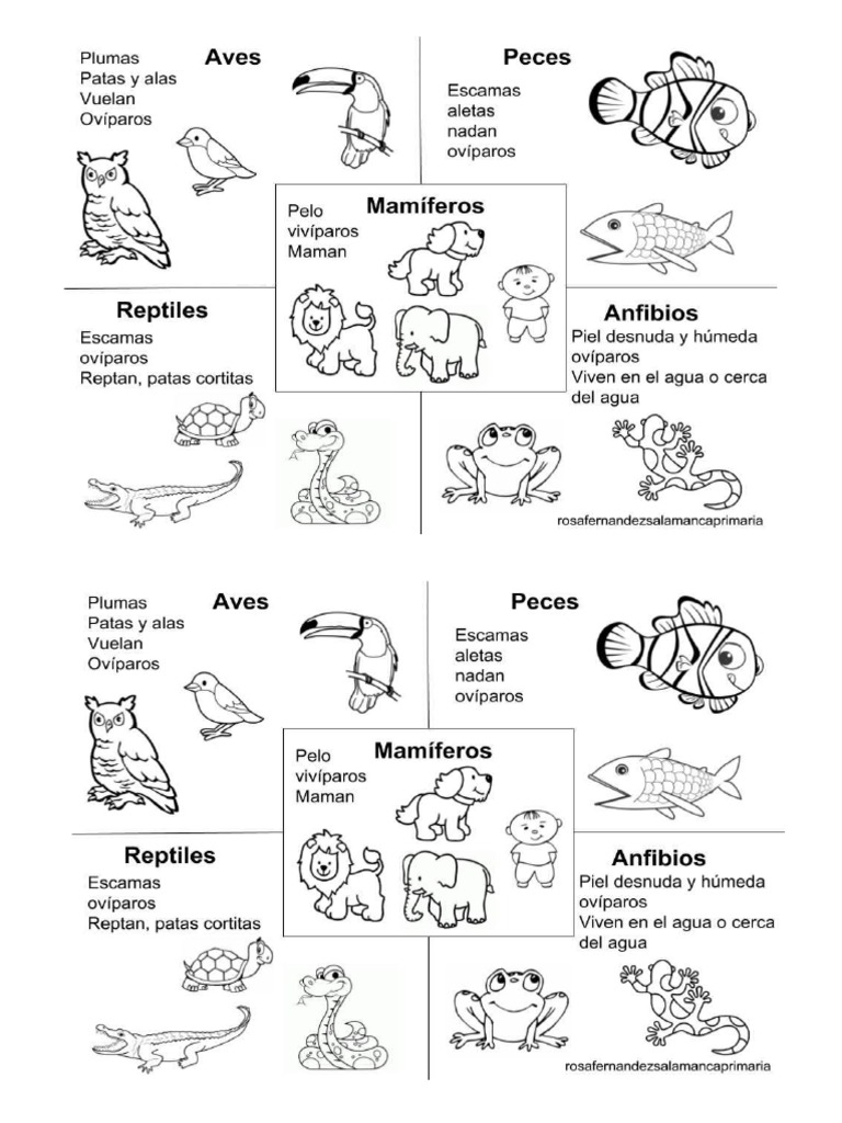 Clasificación de Los Animales | PDF