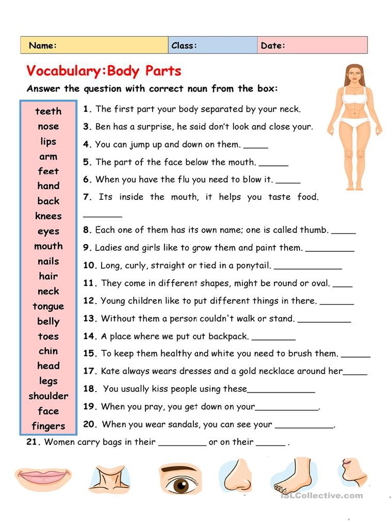 Class 6C - Body Parts - Sentences 2 | PDF
