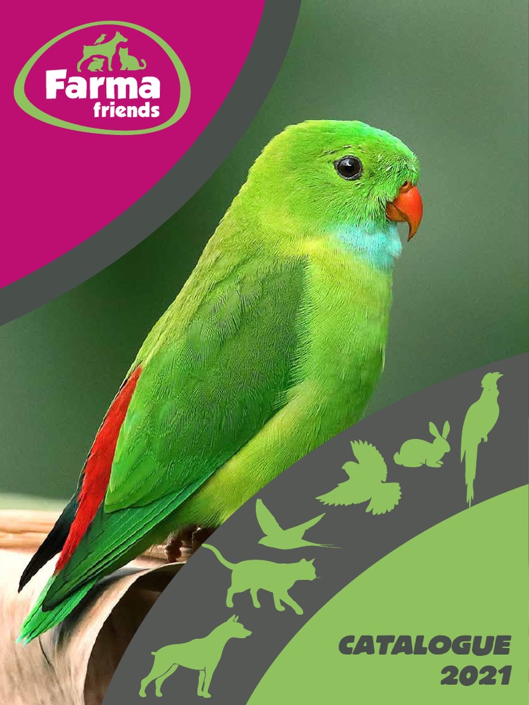 Farma Friends - Singiridou Eirini - Farma Friends Catalogue 2021 | PDF | Wheat | Cereals