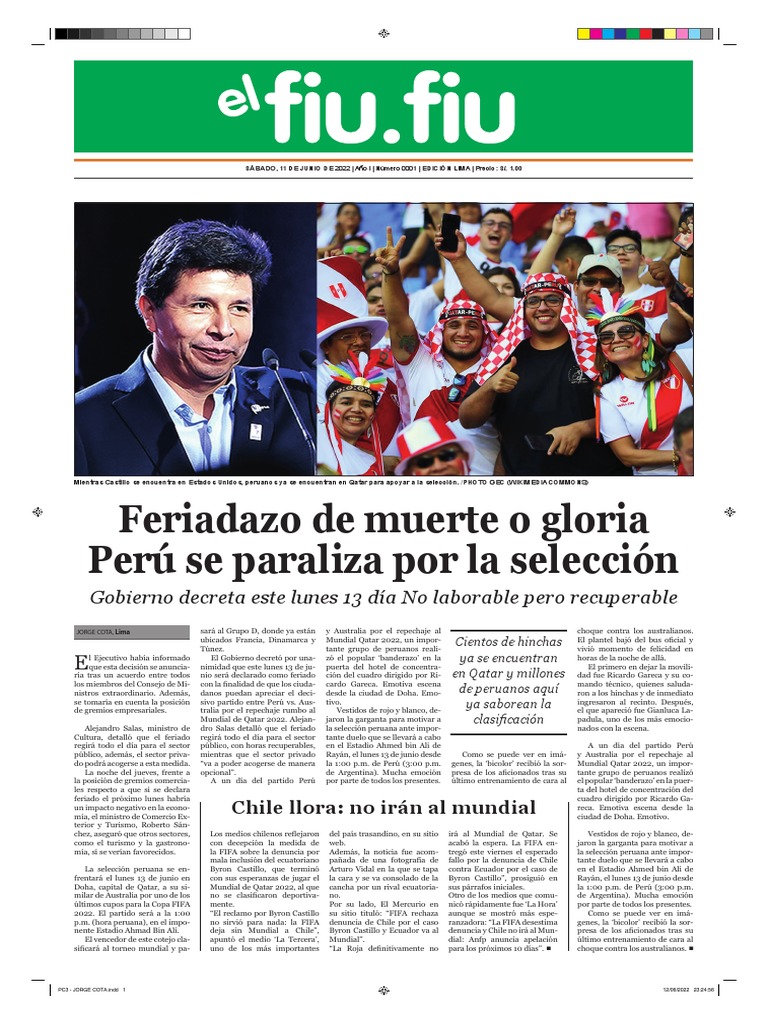 El Fiufiu Diario Ficticio | PDF | Perú