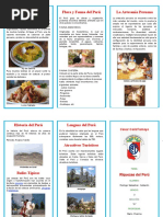 Triptico de Pasco | PDF | Alimentos | Naturaleza