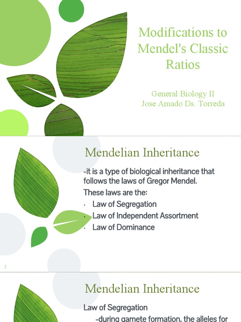 Exploring Modifications to Mendelian Ratios: A Document Covering Non ...