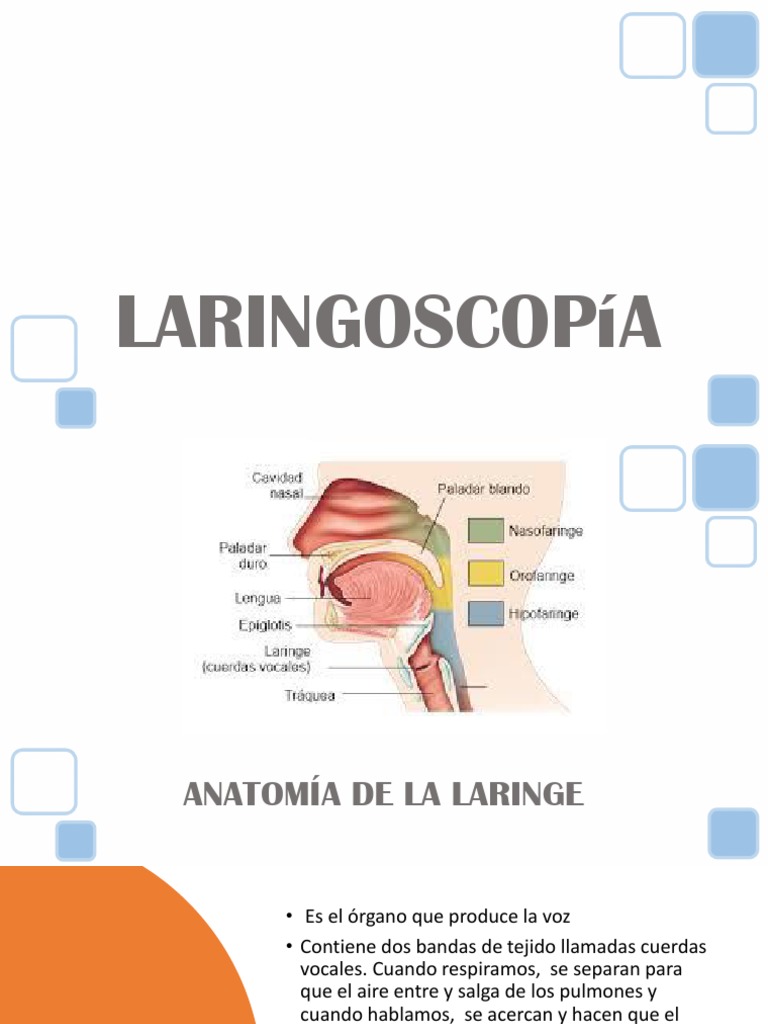 Laringoscopía: Diagnóstico y Procedimientos | PDF | Laringe | Sistema ...