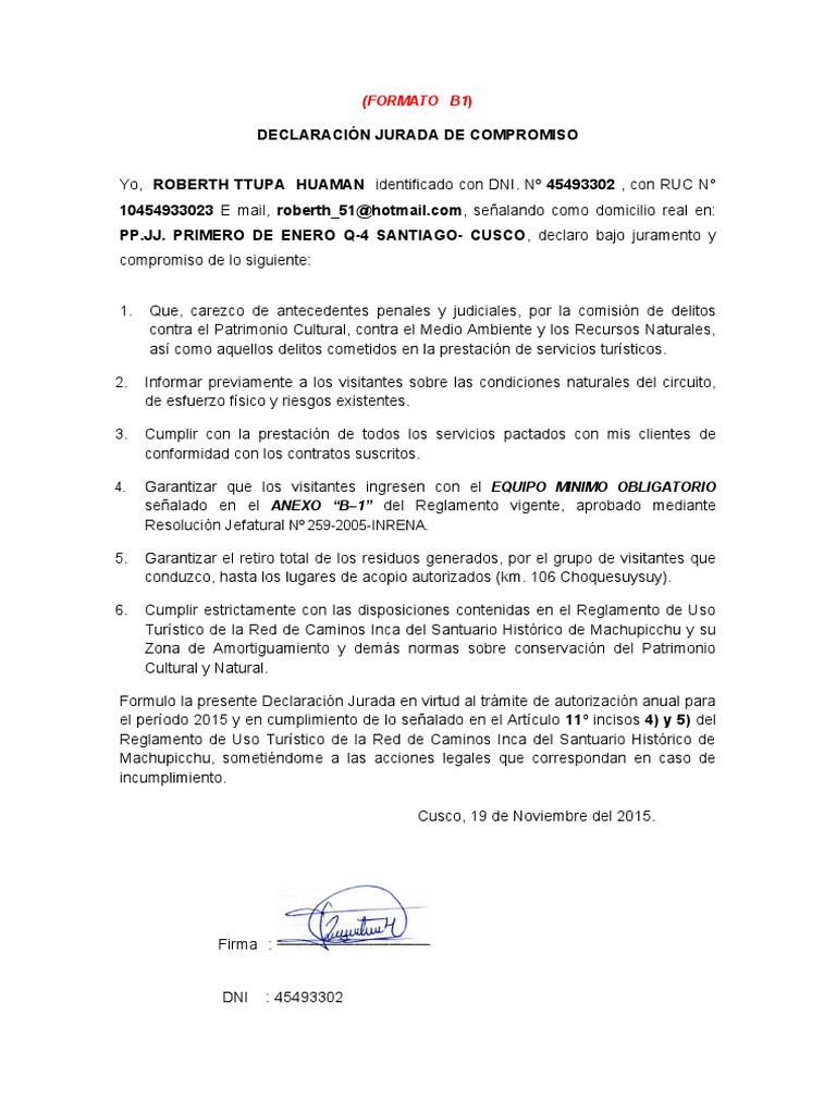 Formato B1 | PDF