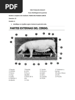 PIOTÓRAX | PDF | Medicina | Inmunología