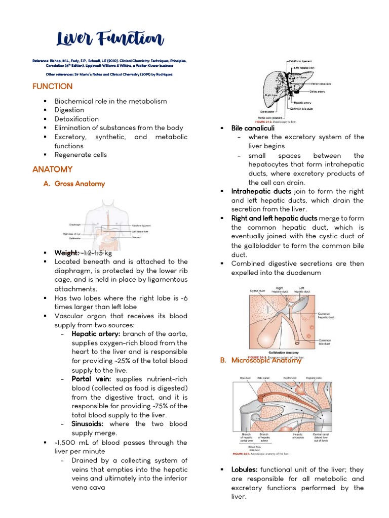 Liver Function Trans Compress | PDF | Liver | Cancer