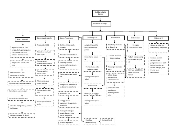 Pathway BBL Normal | PDF