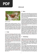 Exam 1 Reading Comprehension | PDF | Printmaking | Woodcuts