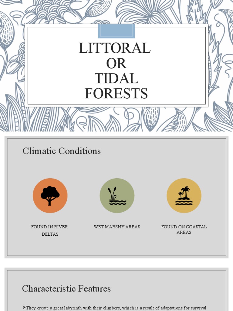 Littoral or Tidal Forests | PDF