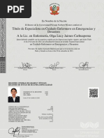 Diploma de Título Profesional #001ddtp0009315-Unmsm | PDF