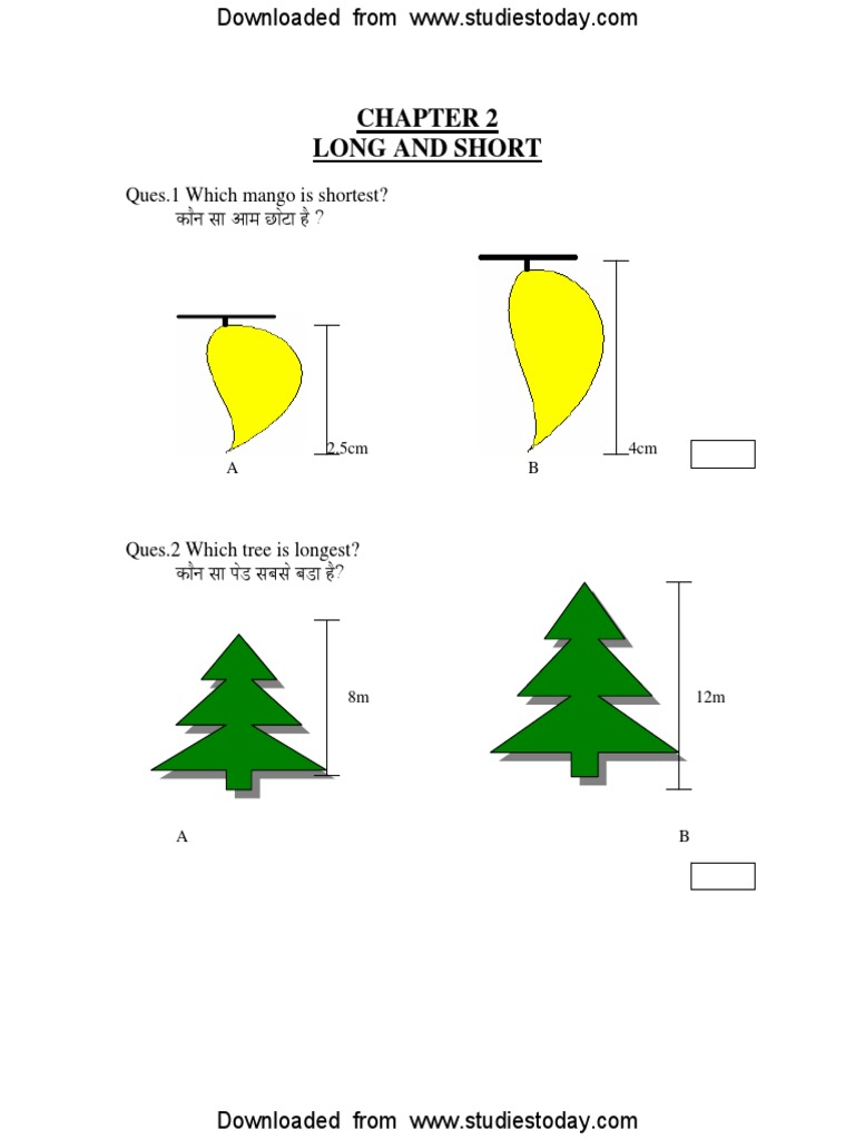 CBSE Class 4 Maths Chapter 2 Revision Worksheet | PDF