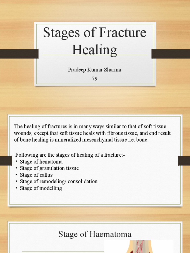 Stages of Fracture Healing | PDF