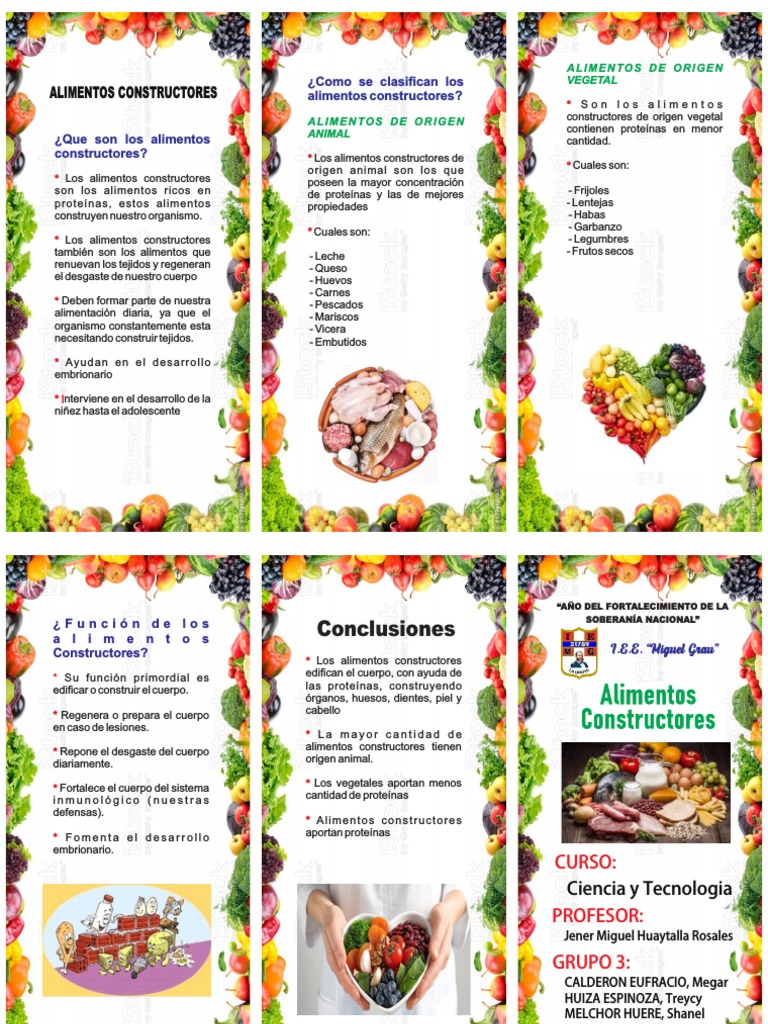 Clasificación de Alimentos Constructores | PDF | Alimentos | Proteínas
