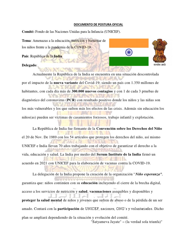 Ejemplo de Position Paper (UNICEF) | PDF | Unicef | Derechos de los niños