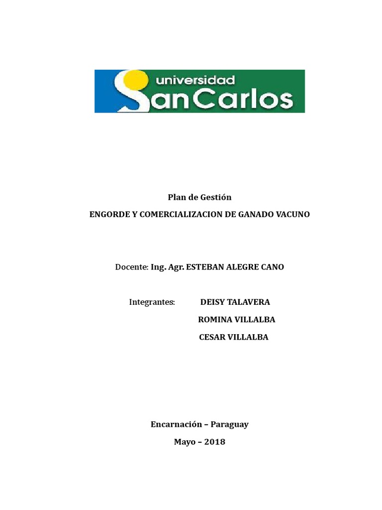 Modelo de Plan de Inversión | PDF | Mercado (economía) | Marketing