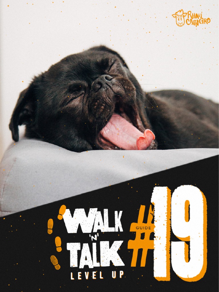 Early Bird vs Night Owl Guide | PDF