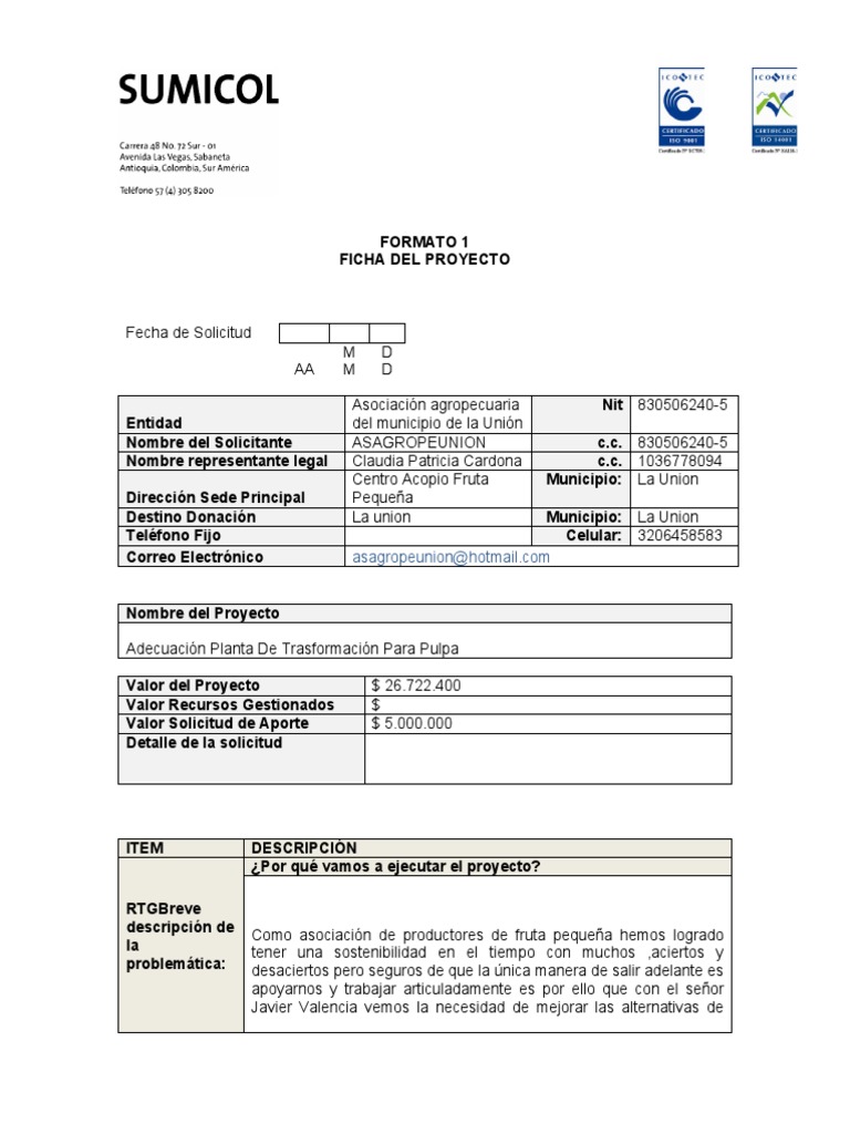Formato 1 Ficha Proyecto SUMICOL | PDF | Economias | Mercado (economía)