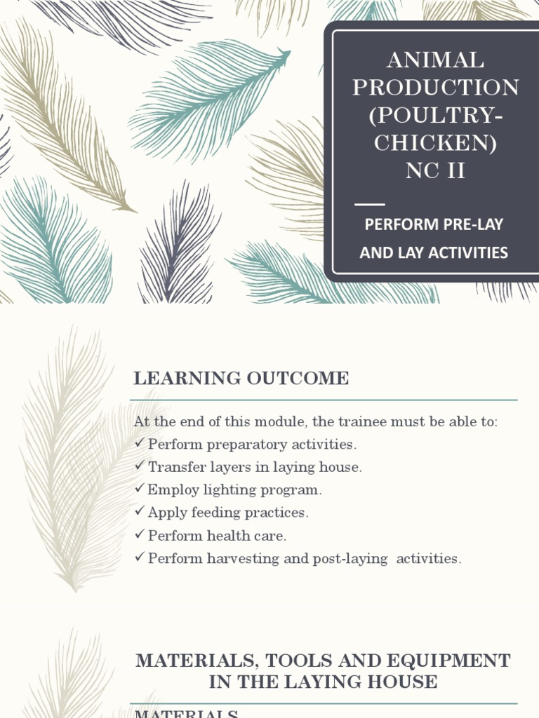 Perform Pre Lay Lay Activities PDF | PDF | Vaccines | Egg As Food